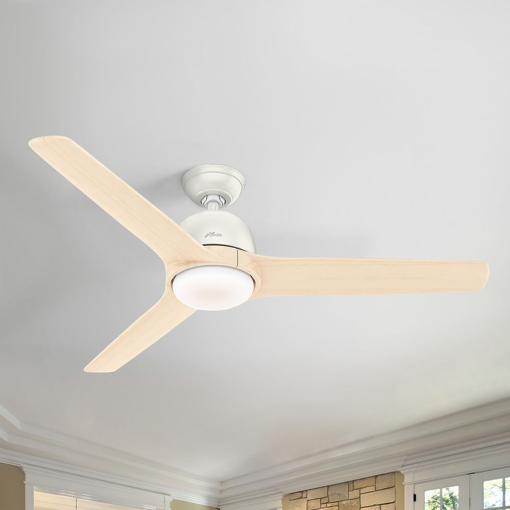 Hunter 54 Inch Ceiling Fan | Shelly Lighting